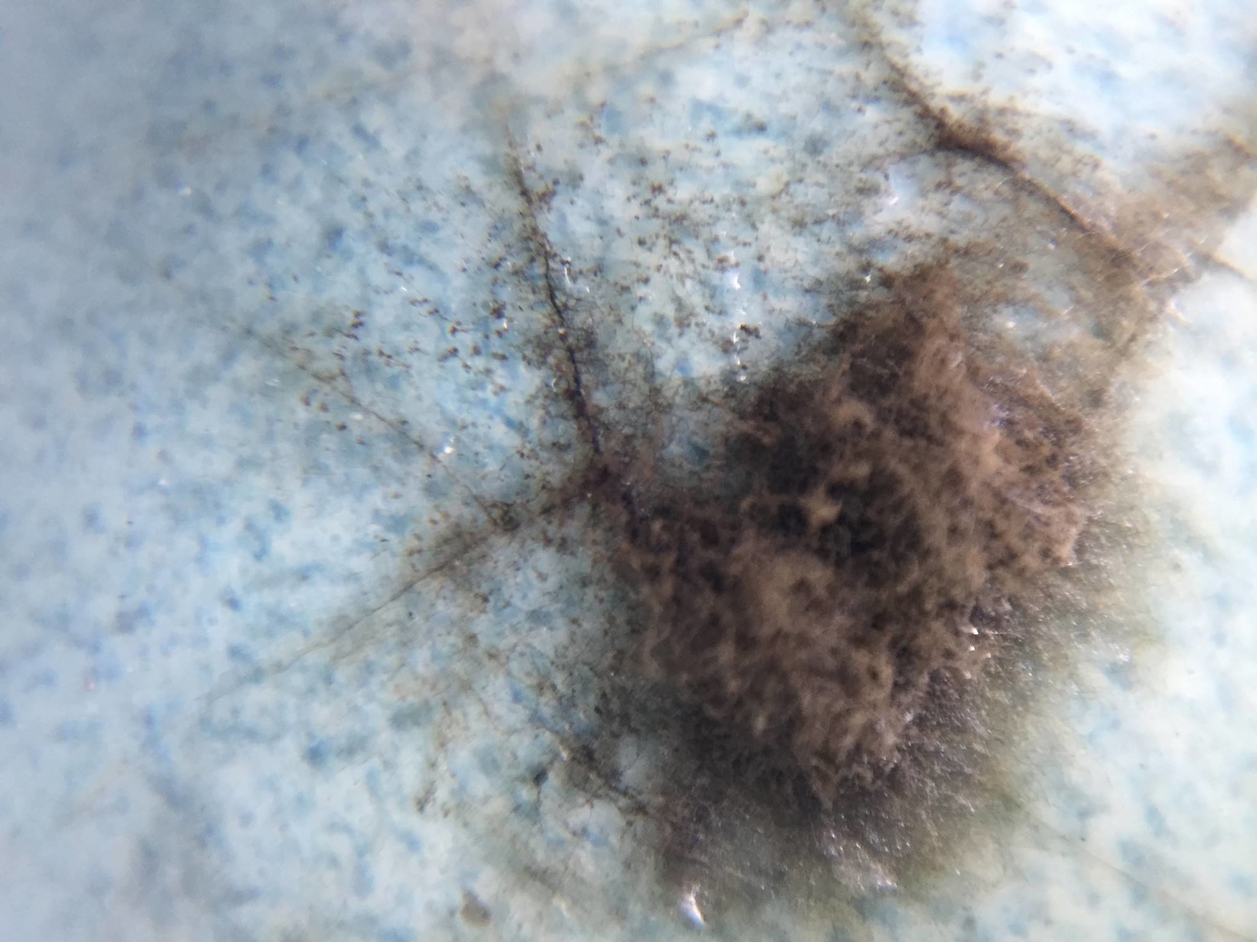 Glaze Crazing - Glaze Faults - Glazy Ceramics Wiki